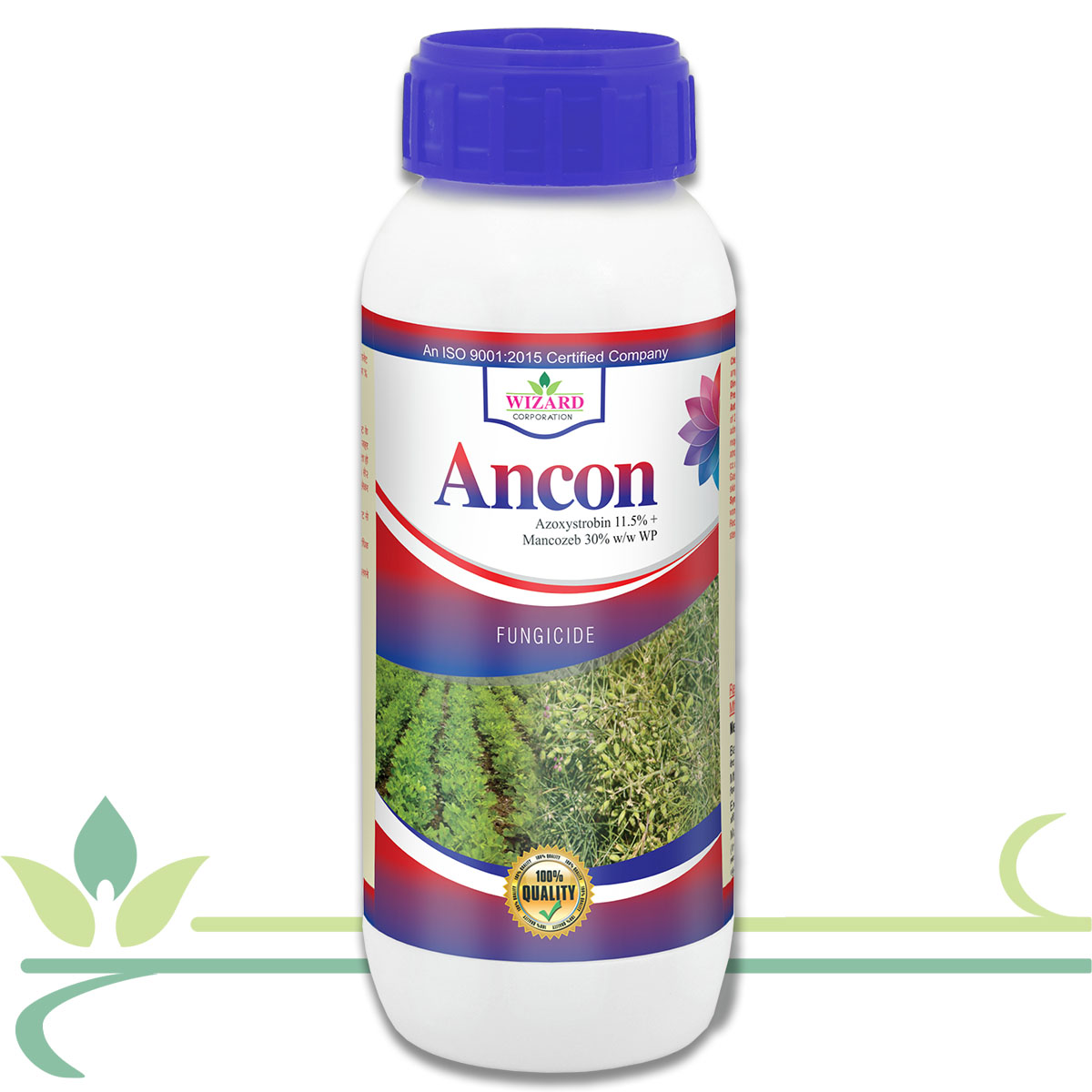 Ancon - Bringing Growth Together